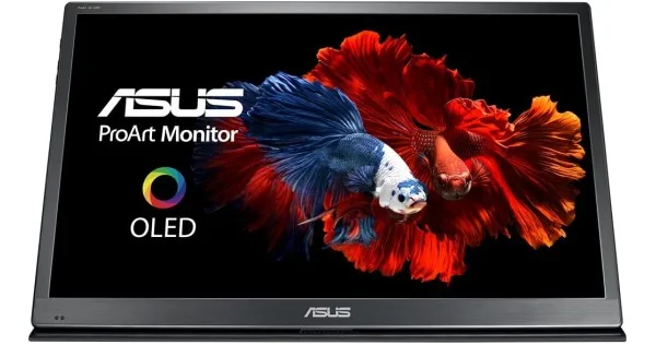 ProArt PQ22UC 4K HDR OLED Professional Portable Monitor – 21.6-inch